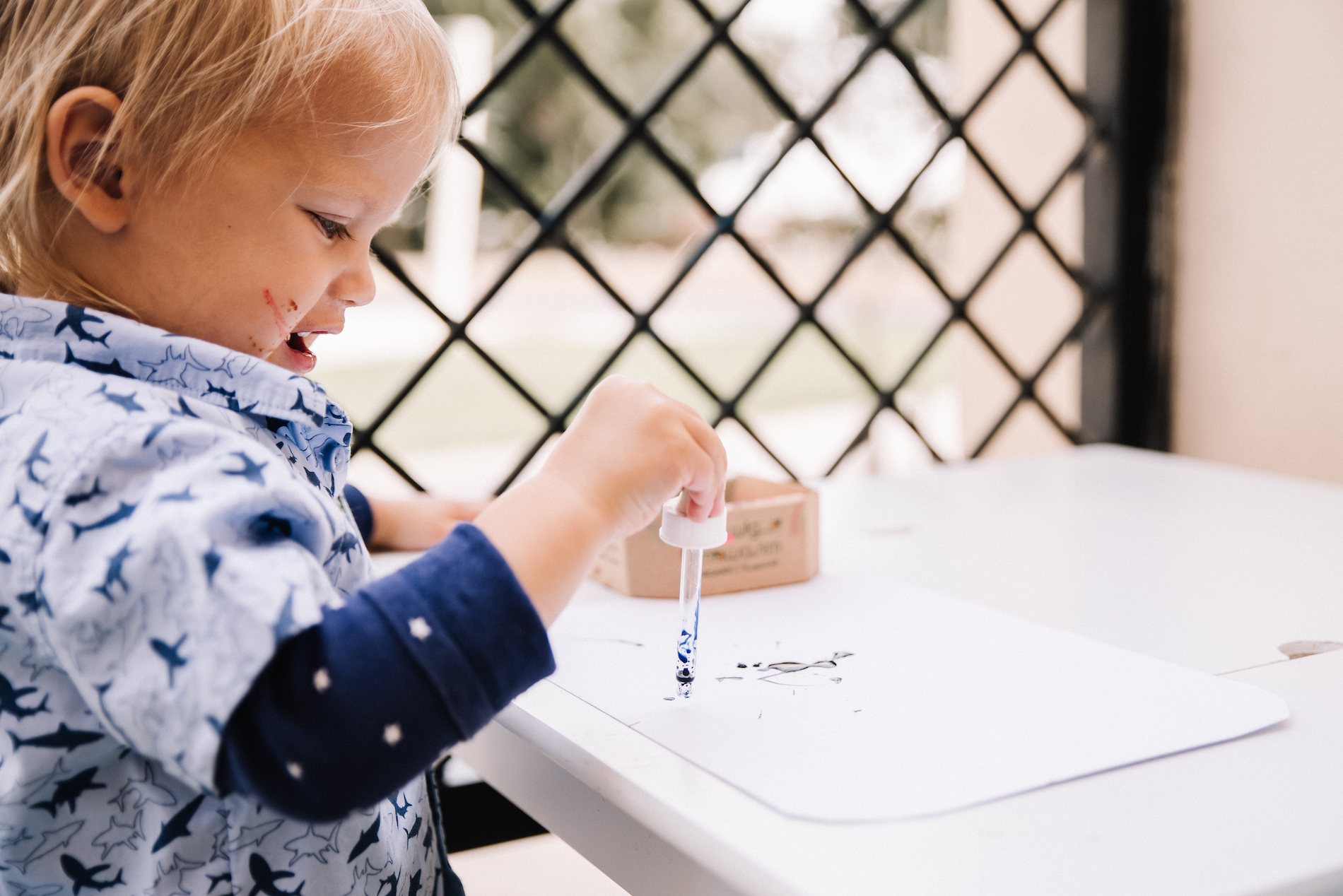 Creativity in the young child - Enriching Environments